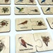Montessori Wood Backyard Birds and Nests Matching Puzzle/ Homeschool ...