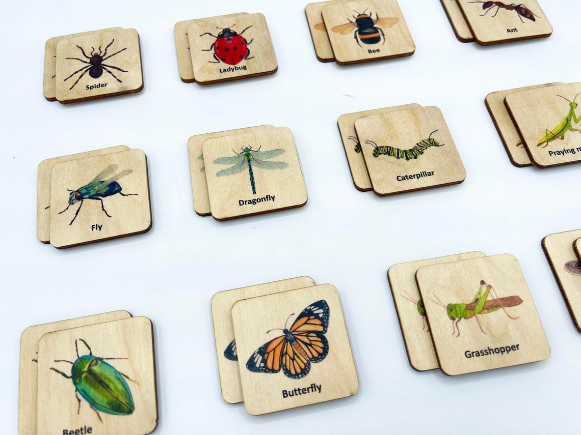 Wooden Insect Bug Memory Game Montessori Insect Bug Matching - Etsy