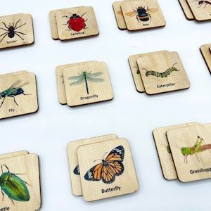 Wooden Insect Bug Memory Game, Montessori Insect Bug Matching Cards ...