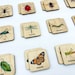 Wooden Insect Bug Memory Game, Montessori Insect Bug Matching Cards ...