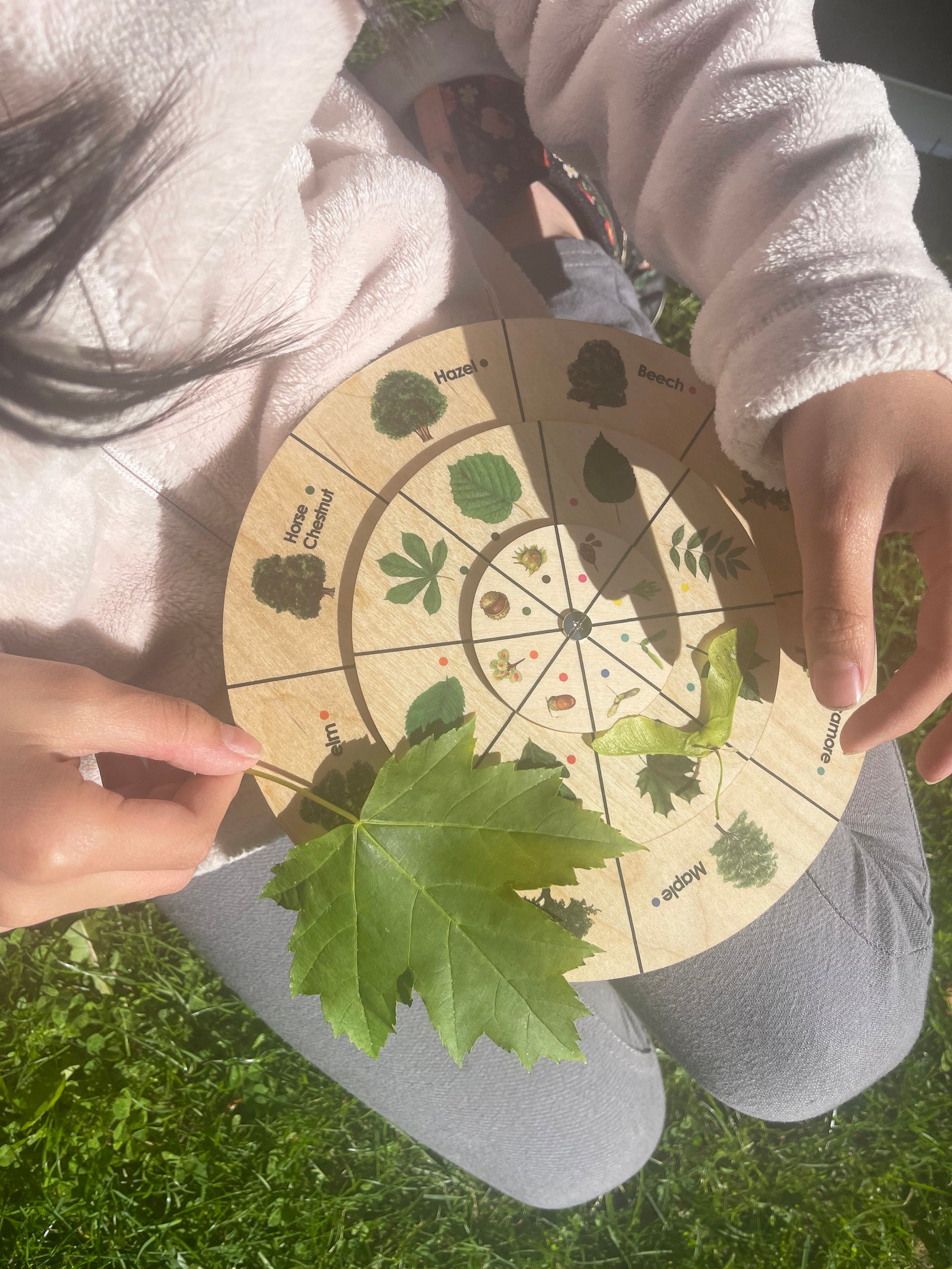 Montessori Tree Leaf Wooden Wheels Activity/ Tree Leaves Match Toys ...