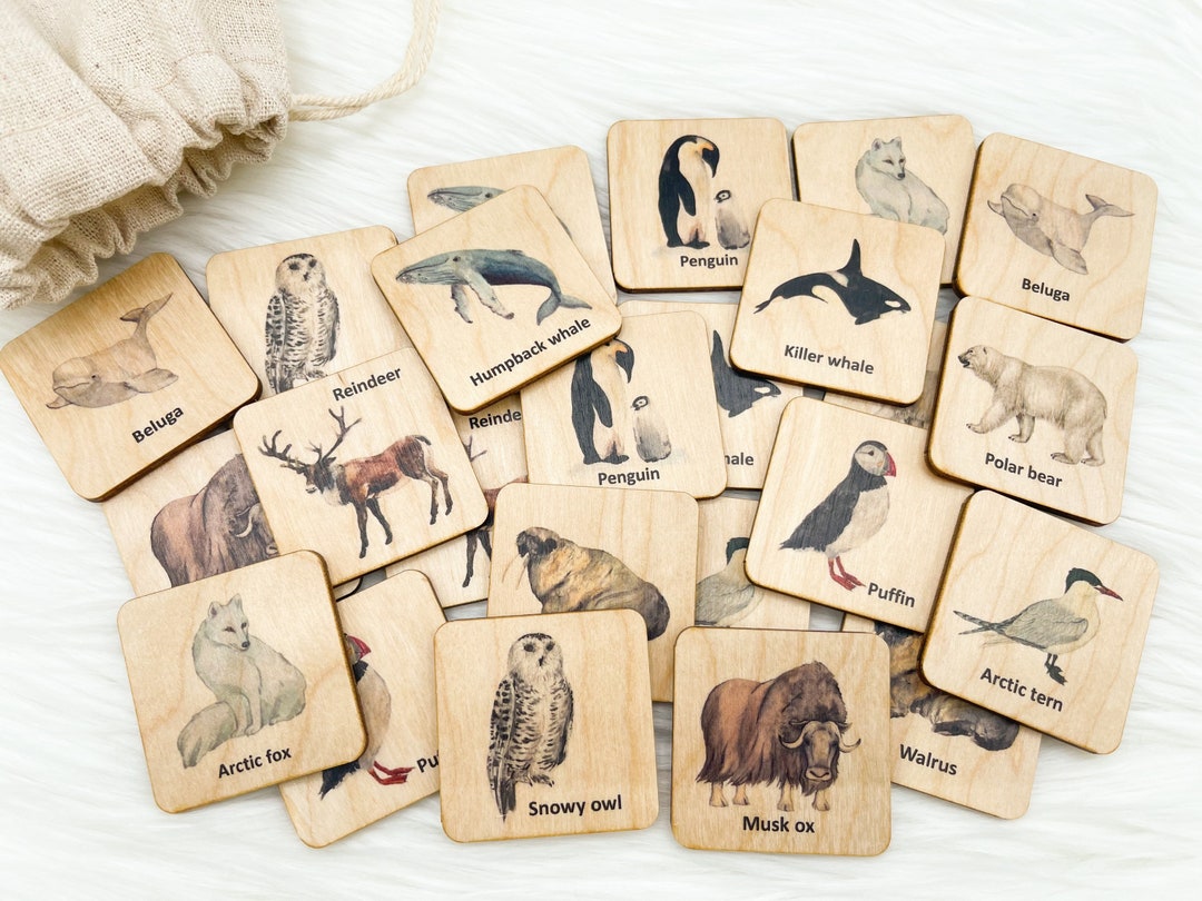 Montessori Arctic Animals Wooden Matching Game/ Homeschool Toddler ...