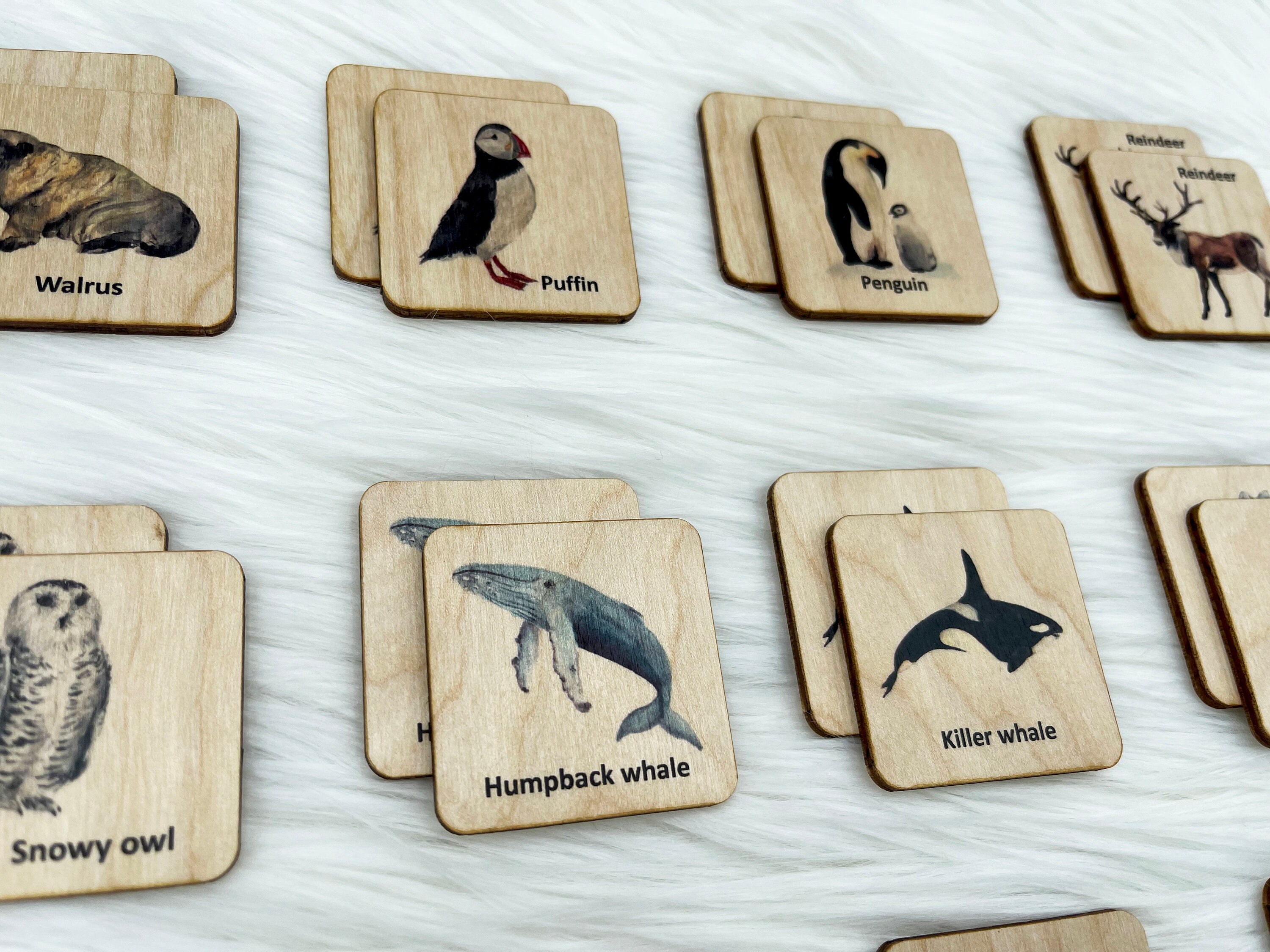 Montessori Arctic Animals Wooden Matching Game/ Homeschool - Etsy