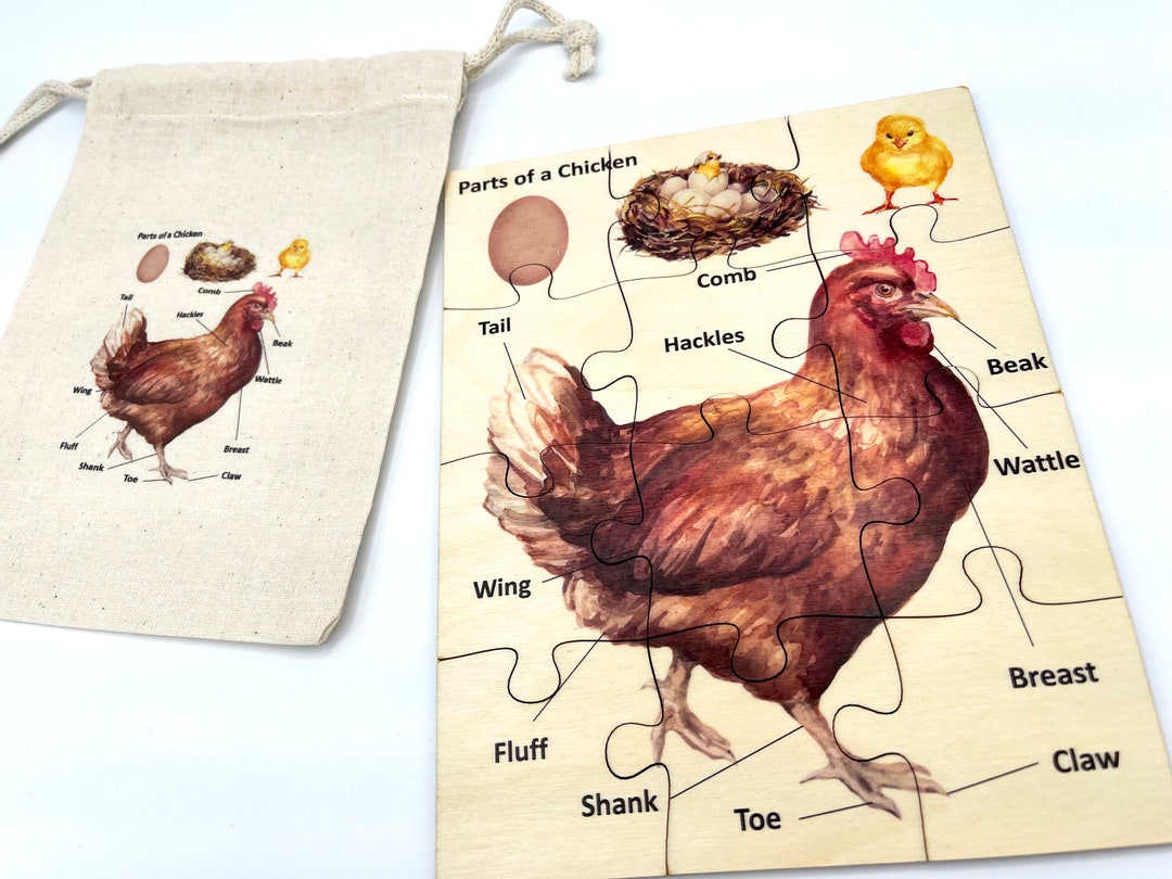 Wooden Chicken Life Cycle Puzzle for Kids Toddler, Montessori Learning ...