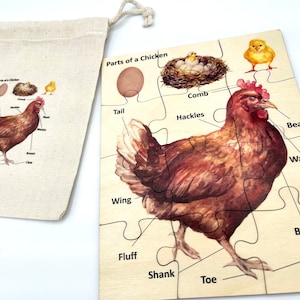 Wooden Chicken Life Cycle Puzzle for Kids Toddler, Montessori Learning ...