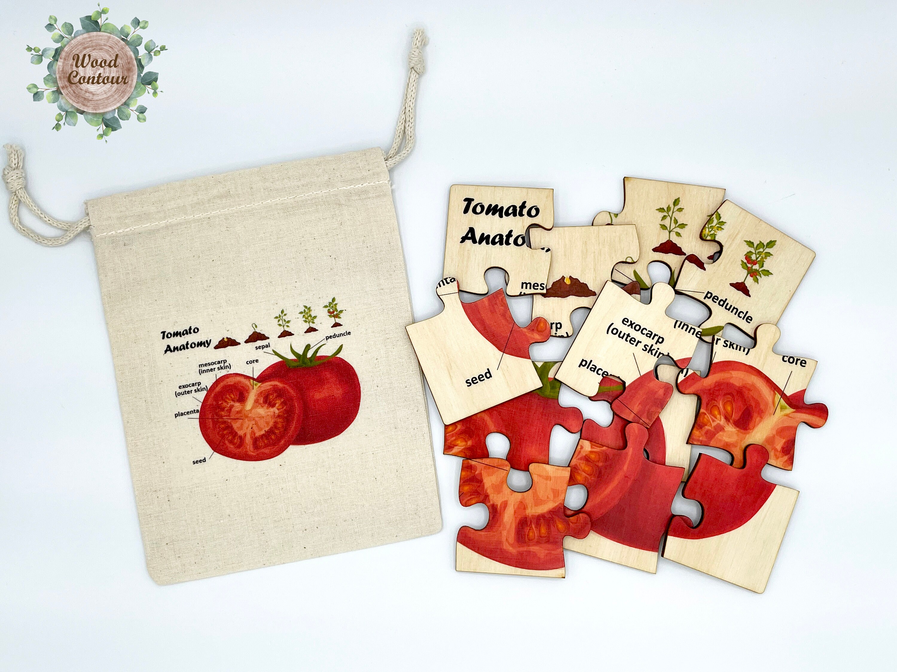 Wooden anatomy of Tomato jigsaw puzzle/ Montessori Homeschool | Etsy