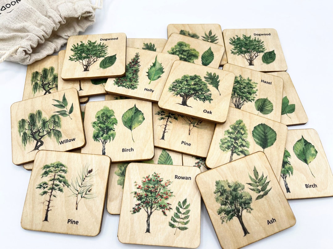 Wooden North American Tree Leaf Matching Game, Montessori Match Tree ...