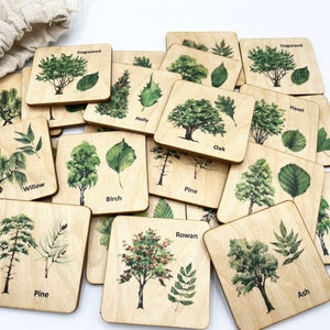 Wooden North American Tree Leaf Matching Game, Montessori Match Tree ...