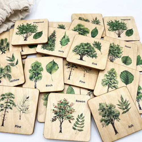 Montessori Wood Tree Leaves Matching Puzzle/ Homeschool - Etsy