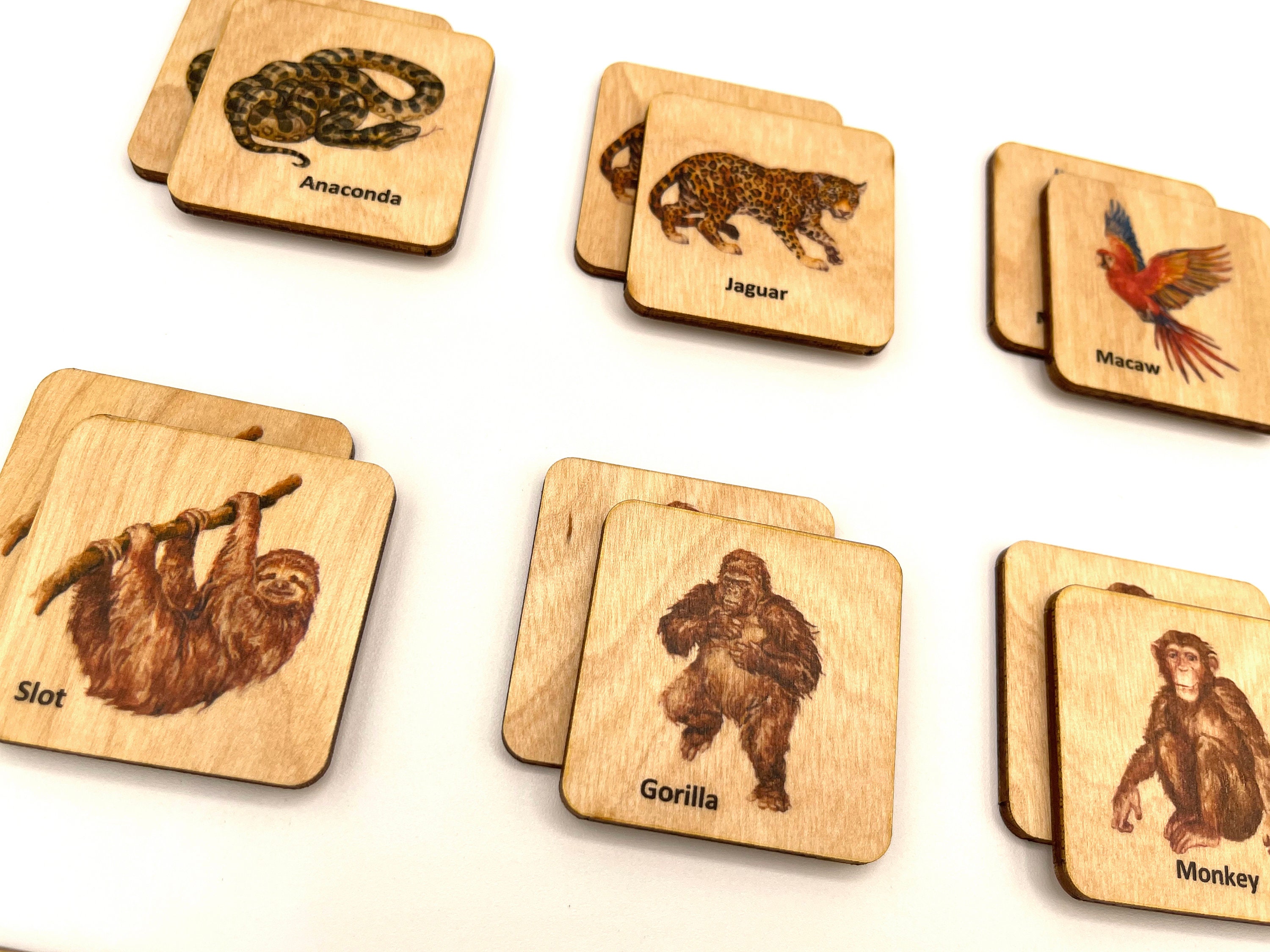 Montessori Rainforest Animals Matching Cards Wooden South | Etsy