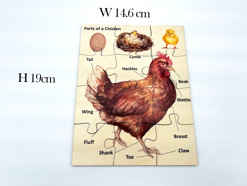 Wooden Chicken Life Cycle Puzzle for Kids Toddler Montessori - Etsy