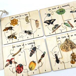 Montessori Life Cycle Puzzle Set/ Kids Learning Activity/ Homeschool ...