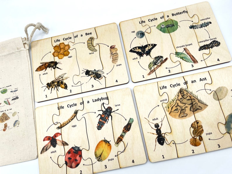 Montessori Life Cycle Puzzle Set/ Kids Learning Activity/ Homeschool ...