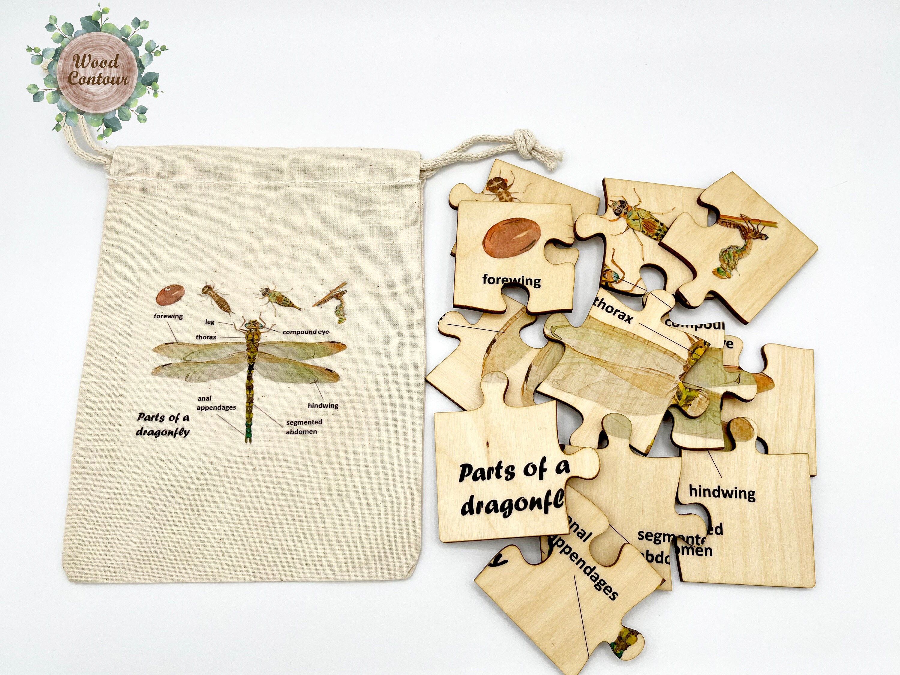 Montessori Wooden Anatomy Dragonfly Puzzle/ Homeschool - Etsy
