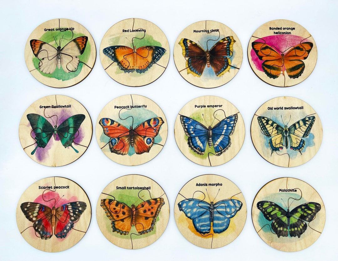 Montessori Butterfly Wooden Matching Puzzle/ Homeschool Learning ...