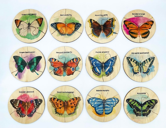 Montessori Butterfly Wooden Matching Puzzle/ Homeschool - Etsy