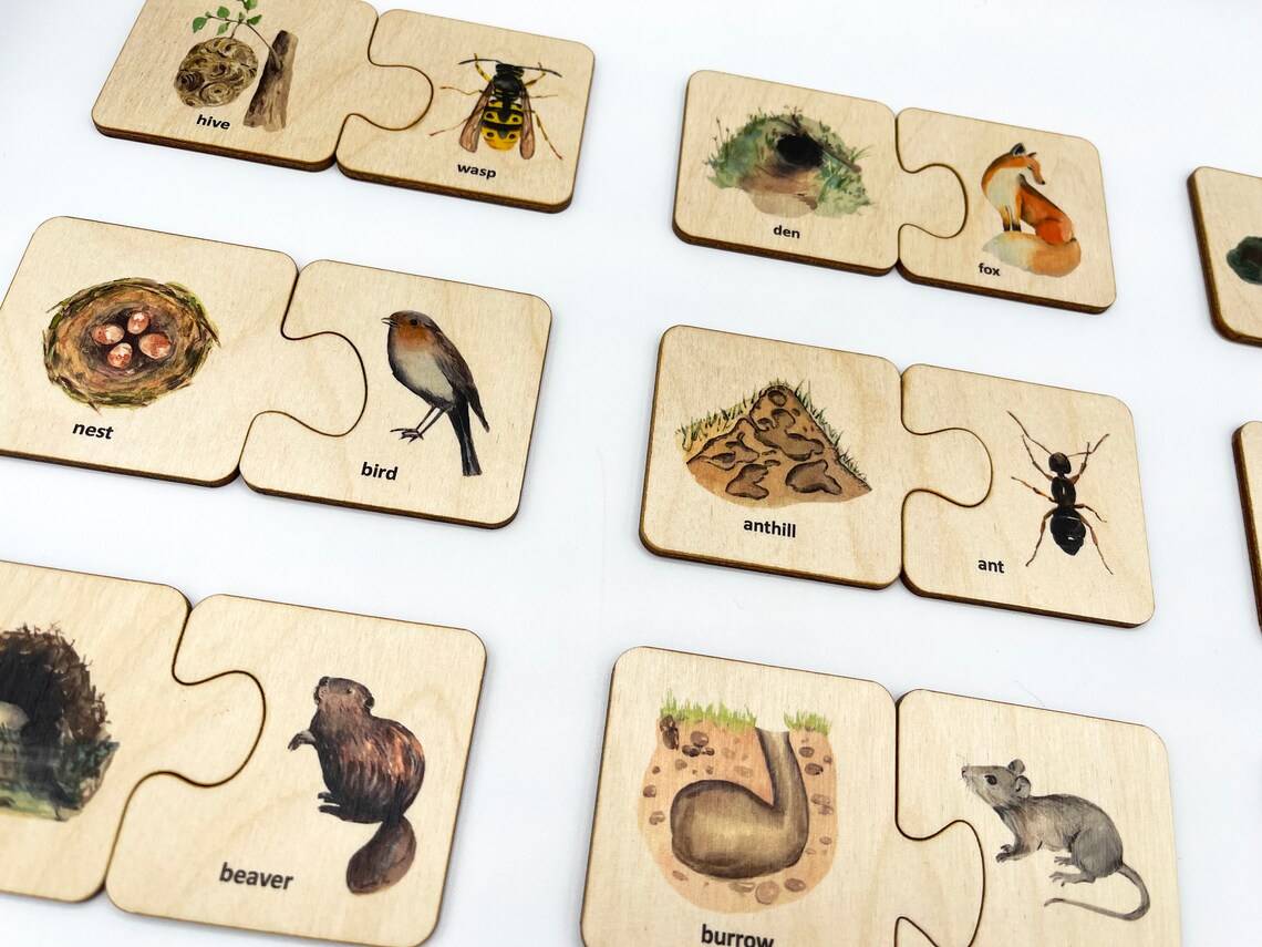 Montessori Wood Animals Puzzle/ Animals Habitat Sorting Game/ | Etsy
