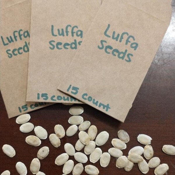 Luffa Seeds - Etsy