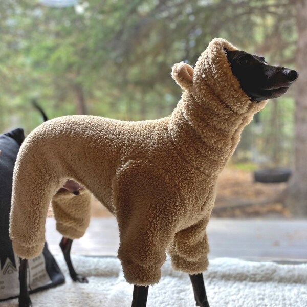 Italian Greyhound Clothing - Etsy