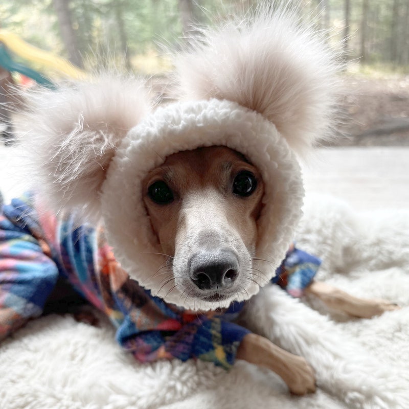 Greyhound Snood - Etsy