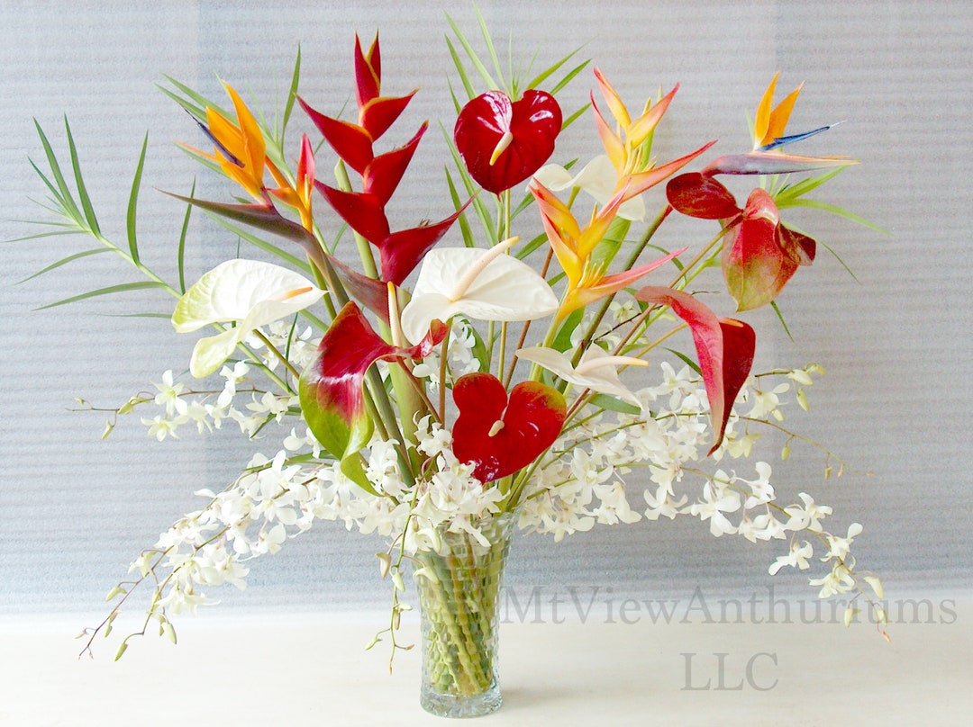 Deluxe Fresh Tropical Flowers - Arrangement Kit- Hawaiian Floral Gift ...