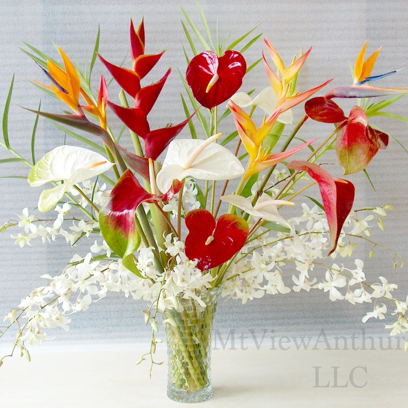 Tropical Flowers - Etsy