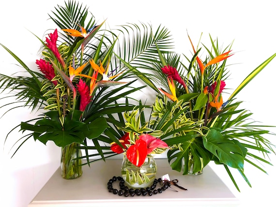 Tropical Flower Boxes Annabelle Box Bouquet | LB Florist Mansfield