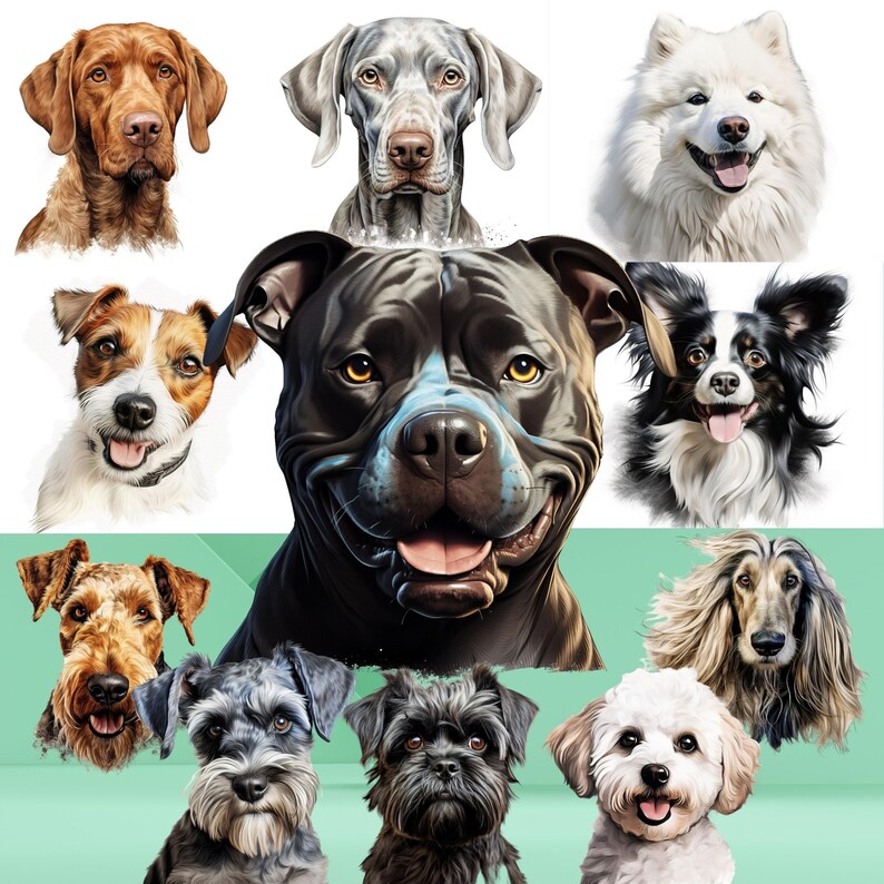 653 Puppy Clipart Bundle | Dog Breeds PNG & JPEG | Cute Dog Breed ...