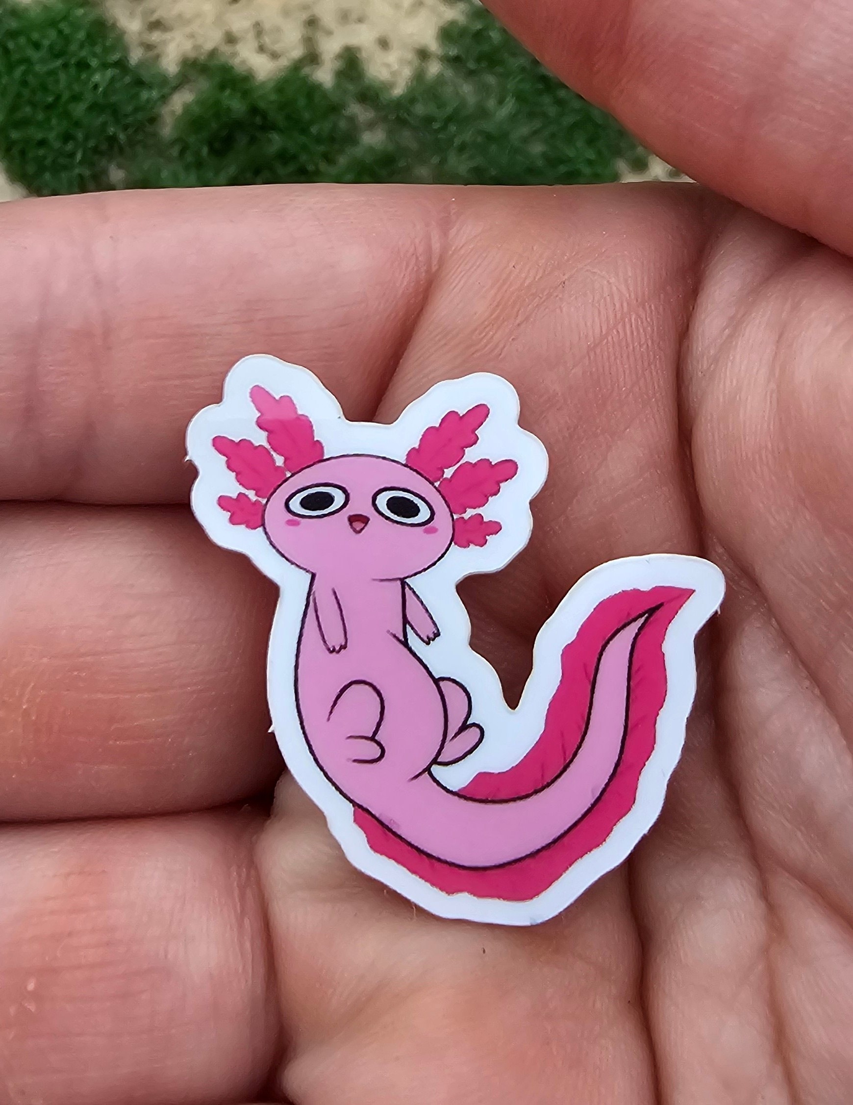 Axolotl Vinyl Sticker - Etsy