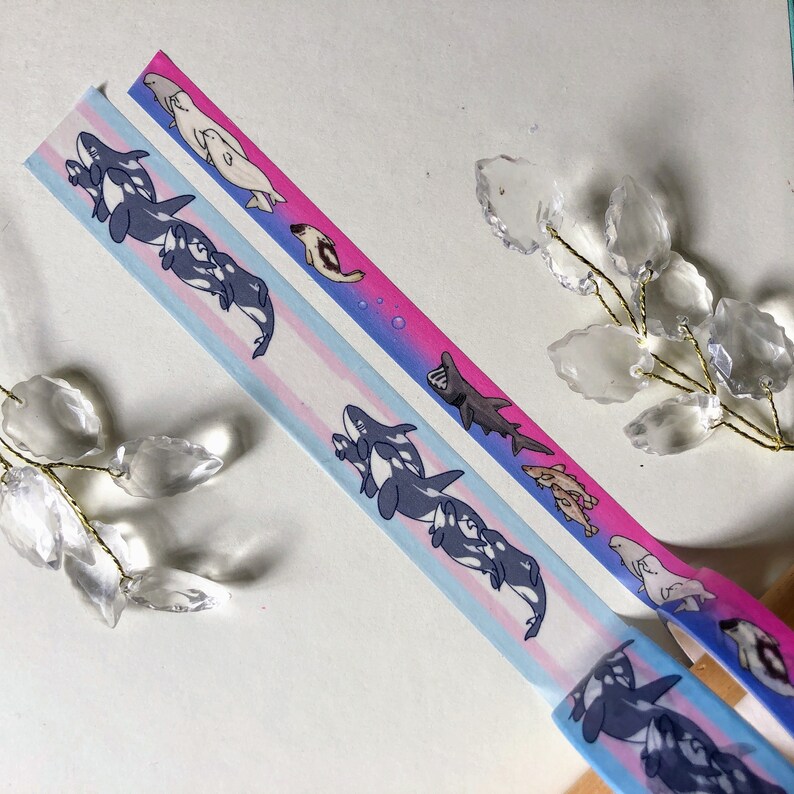 Washi Tape Killer Whale Beluga Cod Seal Basking Shark Trans Pride Bi ...