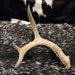 4 Point Antler Shed - Etsy