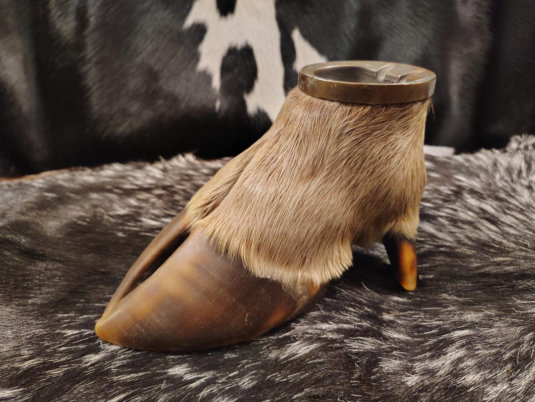 Ox Hoof Ashtray - Etsy