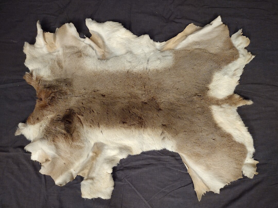 Antelope Hide - Etsy