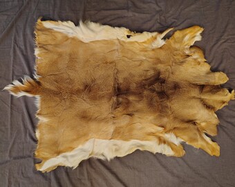 Tanned Whitetail Deer Hide, Native and Wild - Etsy