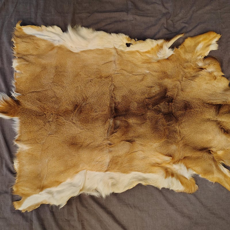 Deer Hide - Etsy