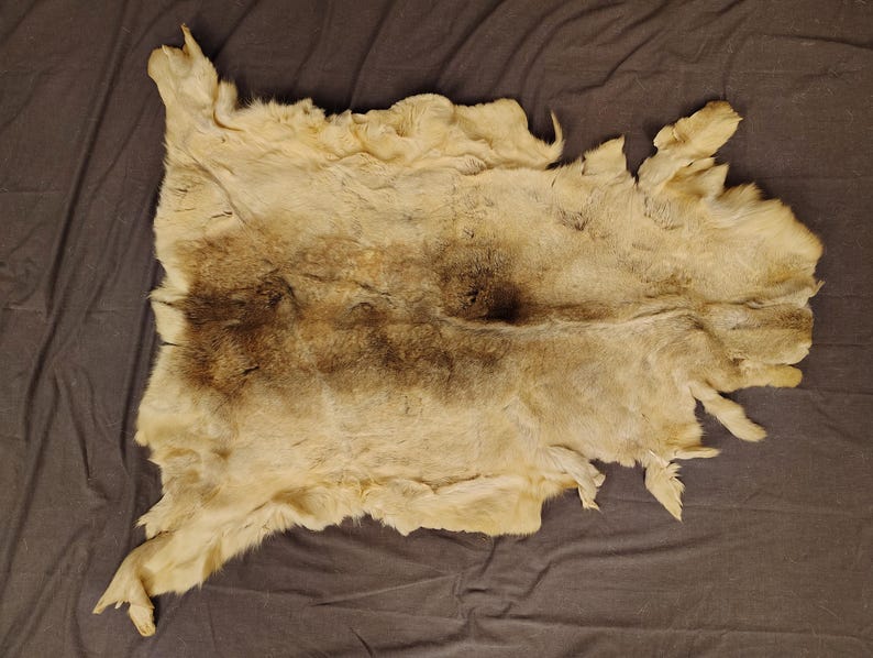 Vintage Tanned Caribou Hide (53x32 Inches) - Etsy