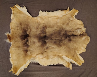 Tanned Whitetail Deer Hide, Native and Wild - Etsy