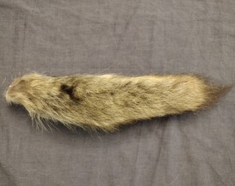 Coyote Tail - Etsy