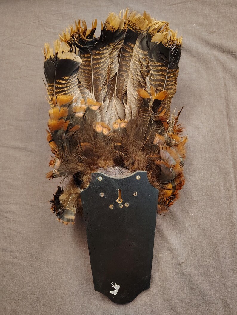 Turkey Fan Mount Lot - Etsy