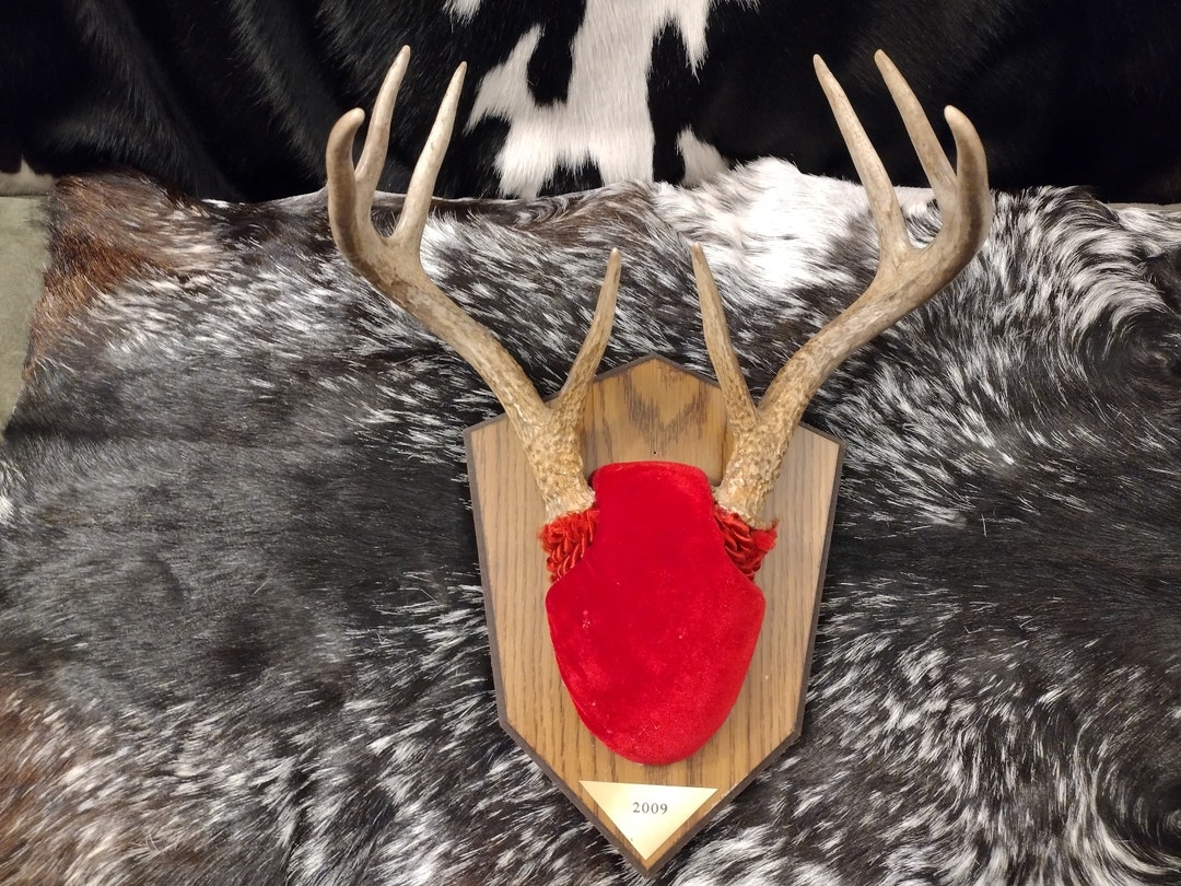 8 Point Deer Antler Mount - Etsy