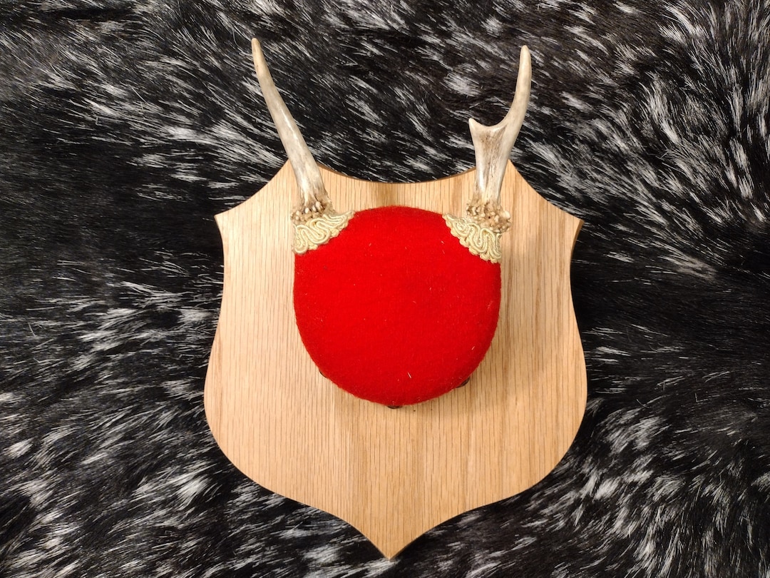 3 Point Deer Antler Mount - Etsy