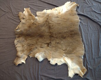 Tanned Whitetail Deer Hide, Native and Wild - Etsy