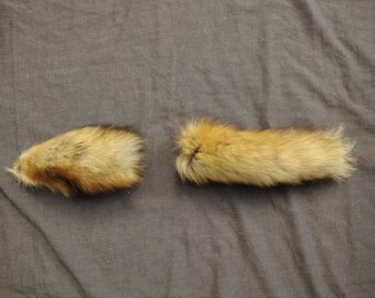 Coyote Tail - Etsy