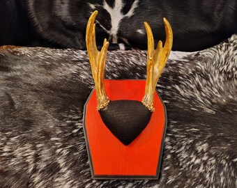 8 Point Deer Antler Mount - Etsy