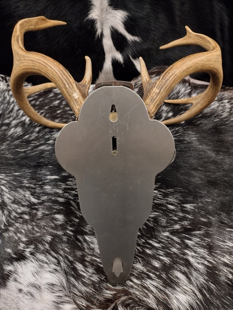 8 Point Deer Antler Mount - Etsy