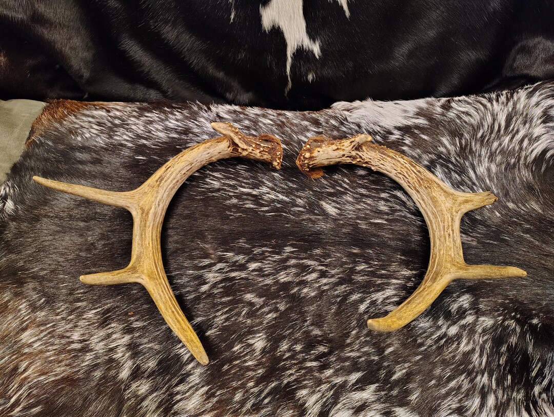 8 Point Deer Antlers - Matched Pair - Etsy