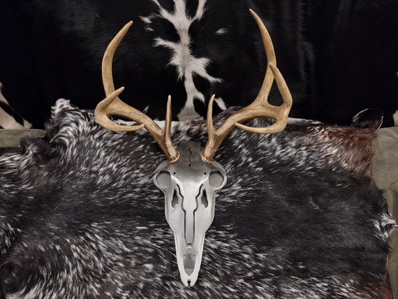 8 Point Deer Antler Mount - Etsy