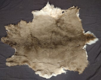 Tanned Whitetail Deer Hide, Native and Wild - Etsy