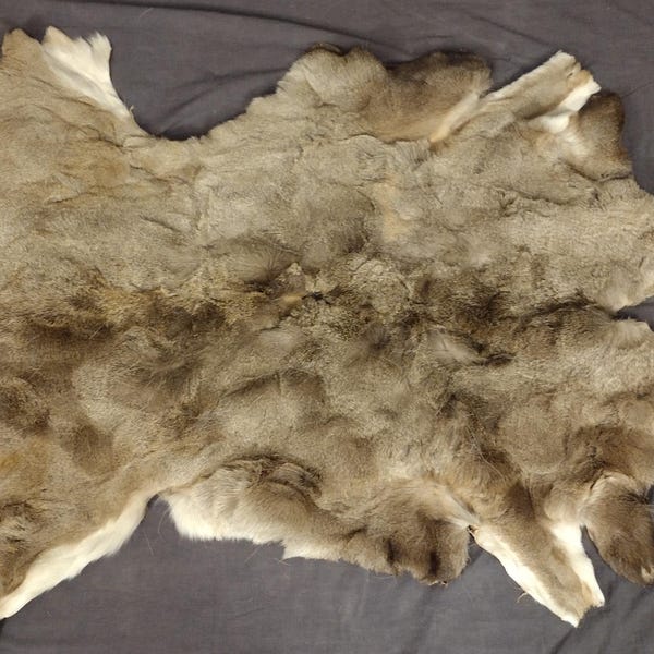 Whitetail Deer Hide - Etsy