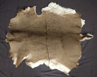 Tanned Whitetail Deer Hide, Native and Wild - Etsy